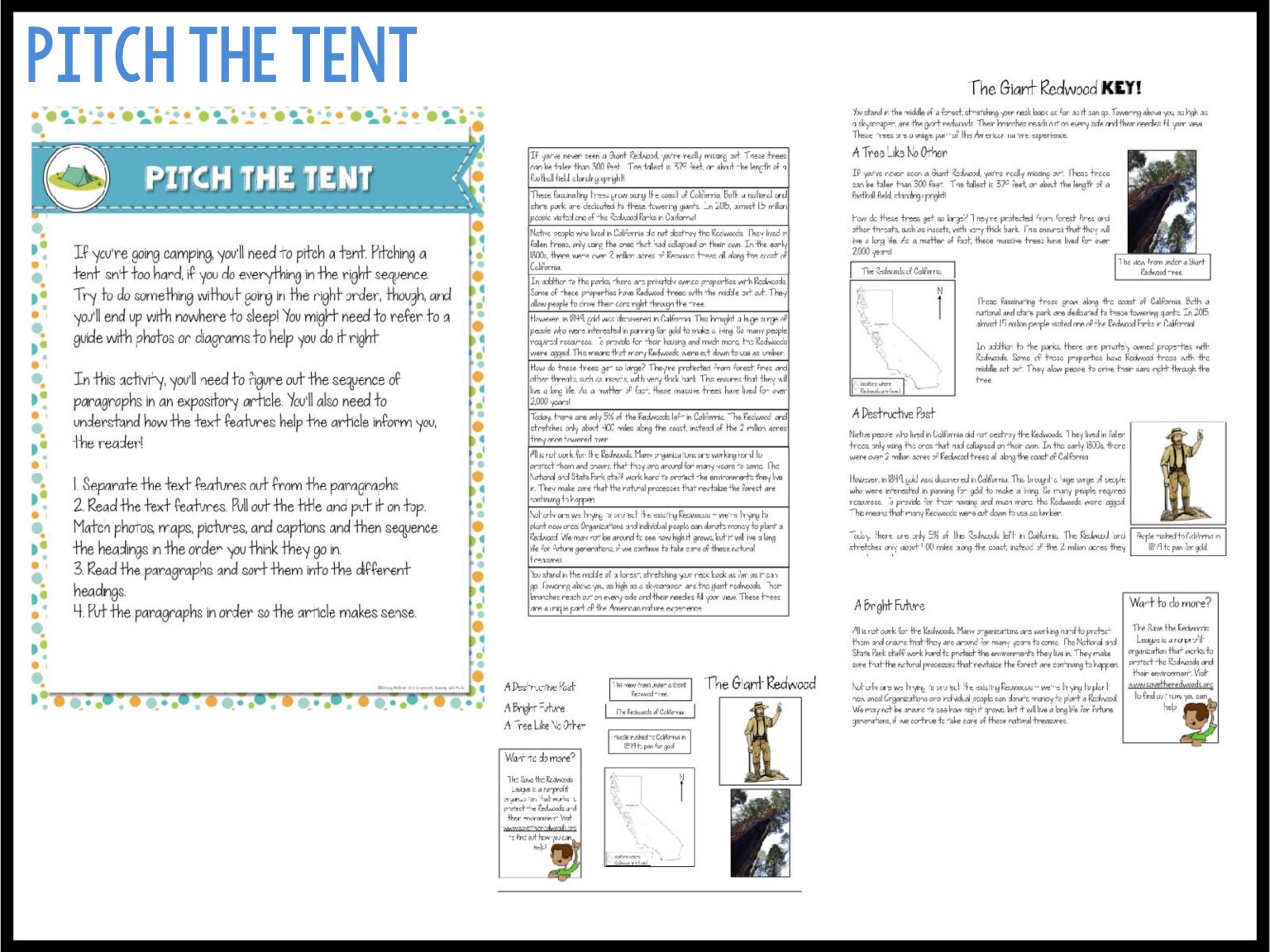 Camp Reading Ready Test Prep Bundle - Printable and Google Slides ...