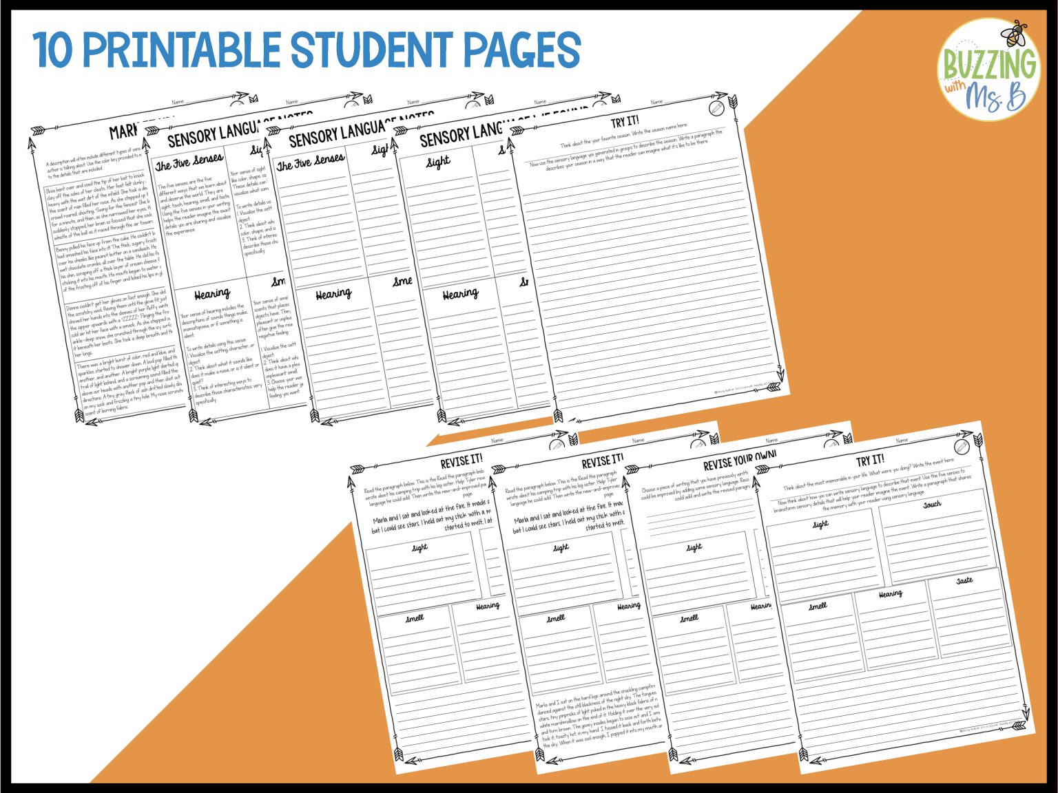 Sensory Details Narrative Writing Lesson Plans and Activities - Buzzing ...